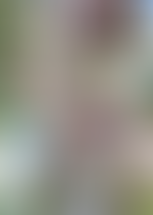 ひみつ at Perohub