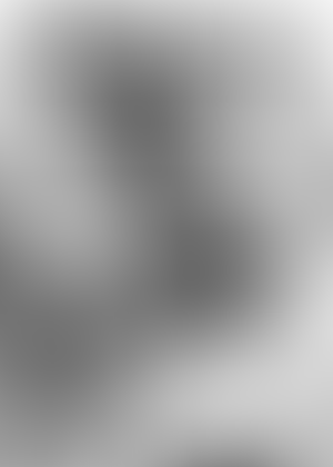 ひみつ at Perohub